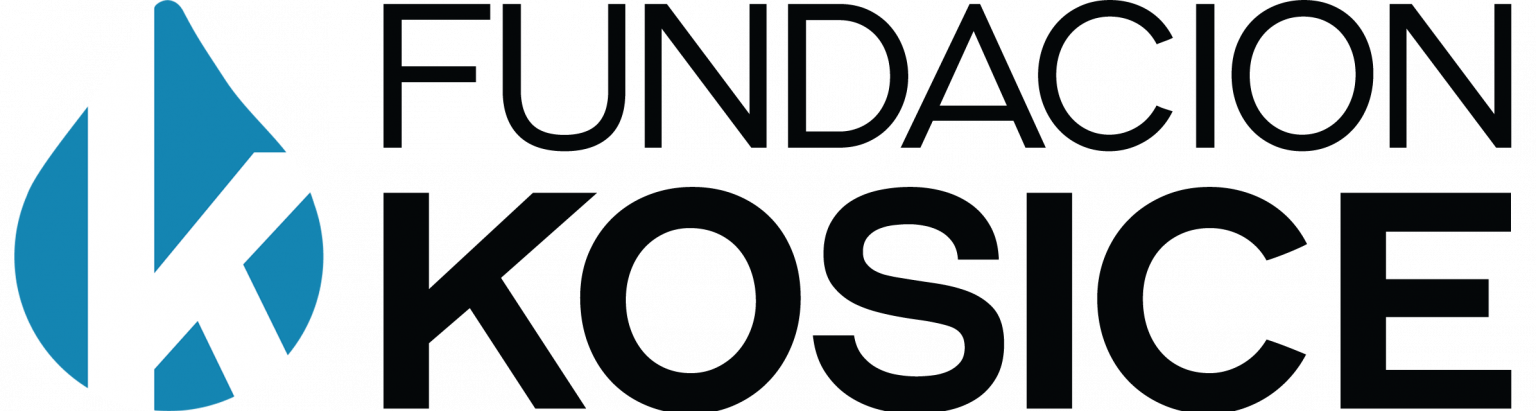 Síntesis biográfica – Museo Kosice